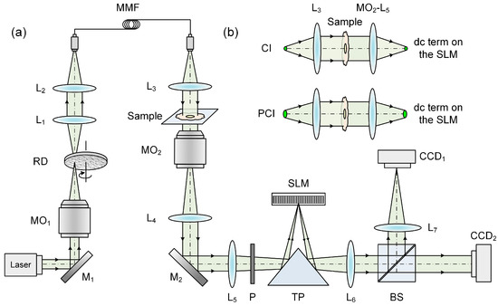 Quantitative Phase Contrast Microscopy with Optimized Partially Coherent Illumination