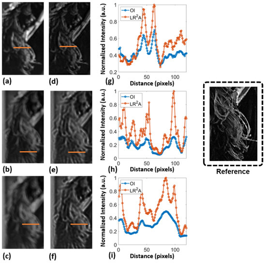 Improved Classification of Blurred Images with Deep-Learning Networks Using Lucy-Richardson ...
