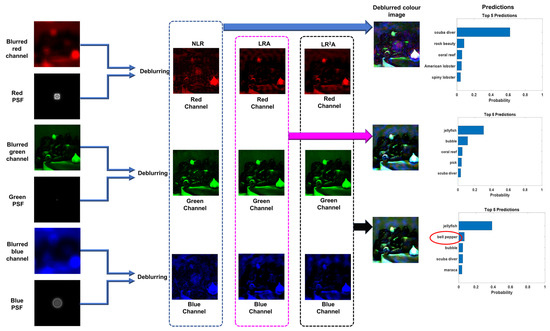 Improved Classification of Blurred Images with Deep-Learning Networks Using Lucy-Richardson ...
