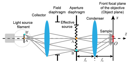 Image Contrast Enhancement by Using LED Annular Oblique Illumination in Bright-Field Microscopy