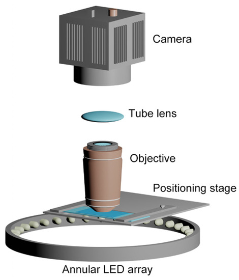 Image Contrast Enhancement by Using LED Annular Oblique Illumination in ...
