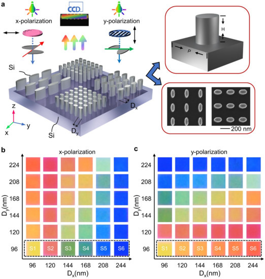 Polarization-Sensitive Structural Colors Based on Anisotropic Silicon ...