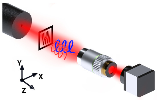 Near-Field Evolution of Optical Vortices and Their Spatial Ordering ...