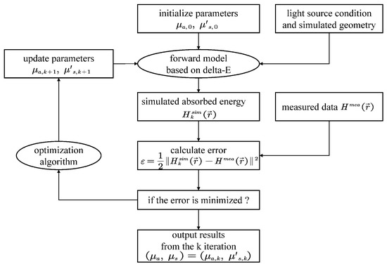 The Optical Inverse Problem in Quantitative Photoacoustic Tomography: A ...