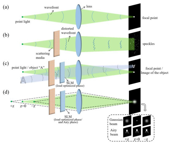 Extending the Imaging Depth of Field through Scattering Media by Wavefront Shaping of Non ...