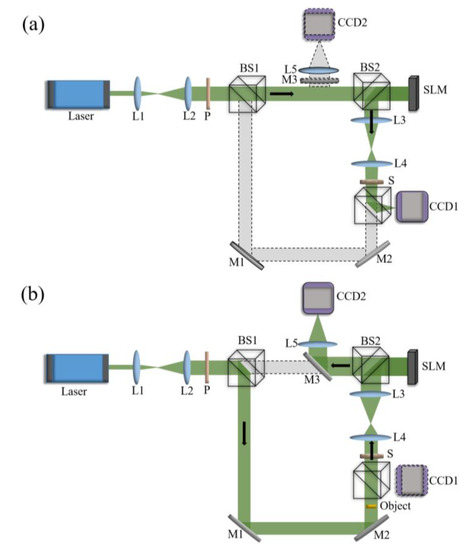Extending the Imaging Depth of Field through Scattering Media by ...