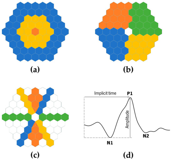 Photonics | Free Full-Text | Assessment of the Human Retinal Neural ...