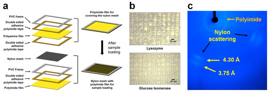 Sample Delivery Systems for Serial Femtosecond Crystallography at the ...