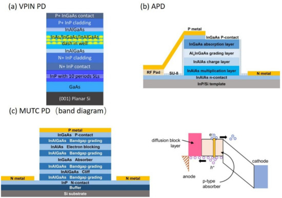 Recent Progress in III–V Photodetectors Grown on Silicon