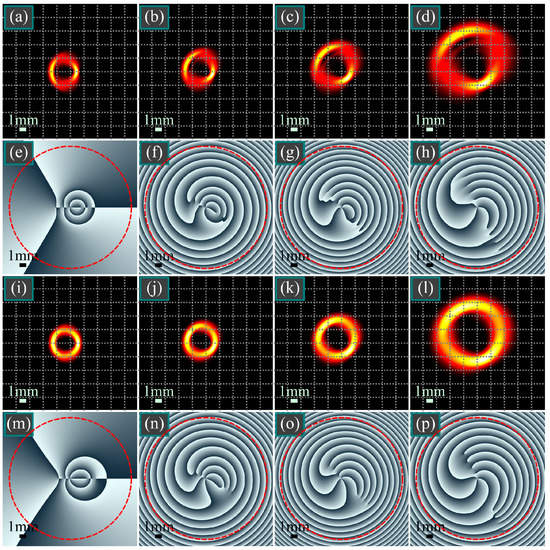 Generalized Asymmetric Hermite–Gaussian and Laguerre–Gaussian Beams