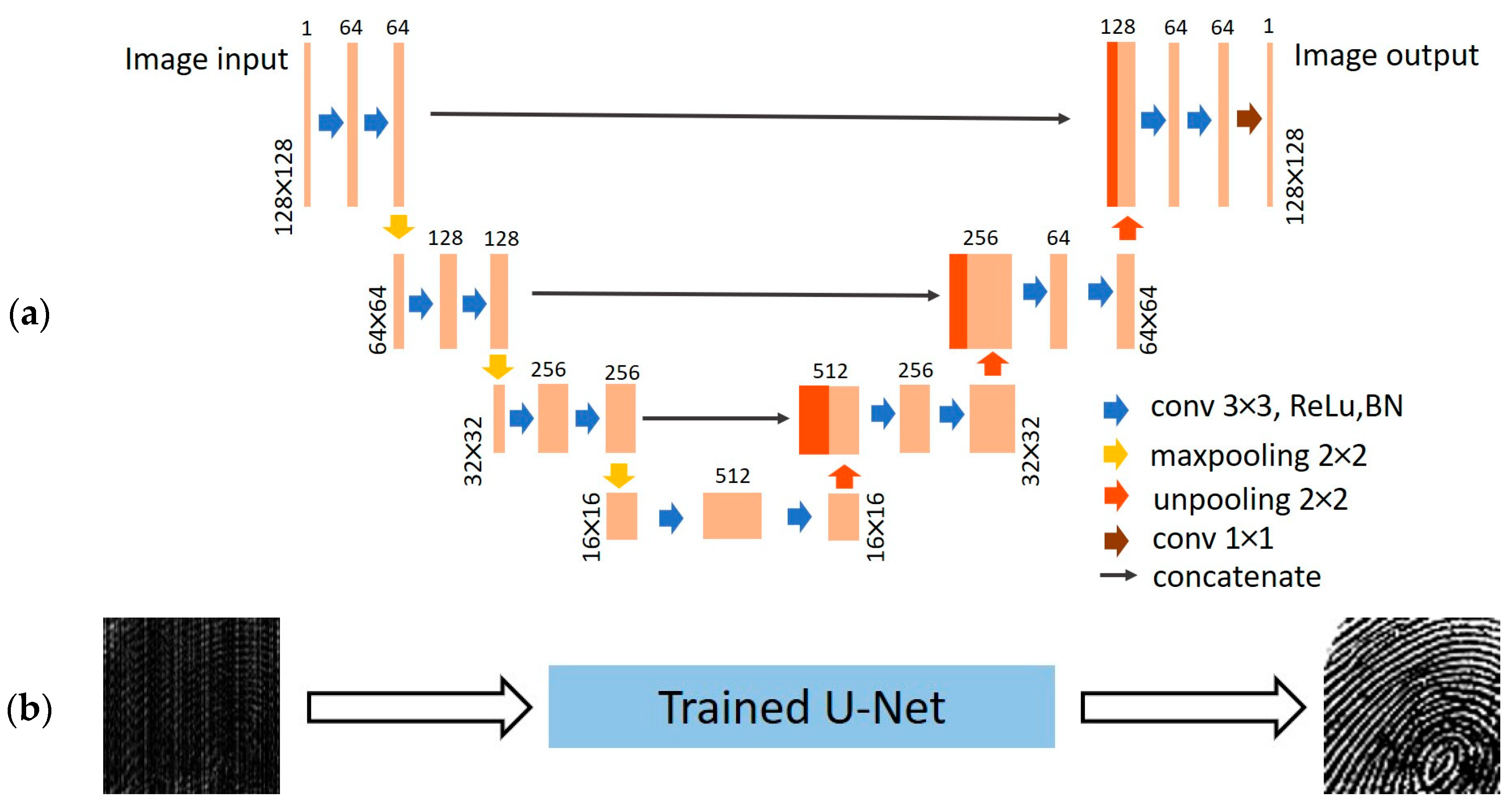 Decryption of Deterministic Phase-Encoded Digital Holography Using Convolutional Neural Networks