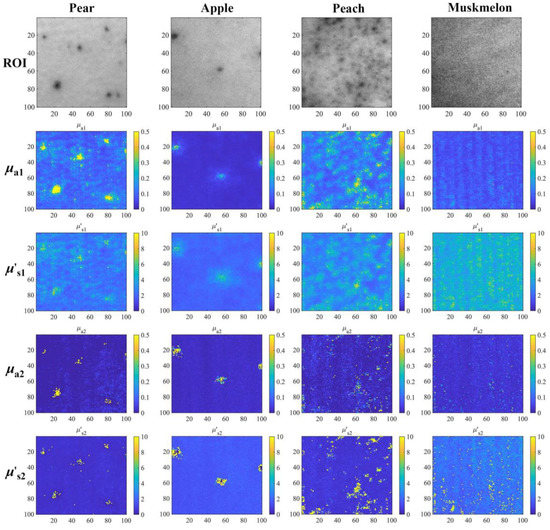 A Method for Obtaining Optical Properties of Two-Layer Tissue such as ...