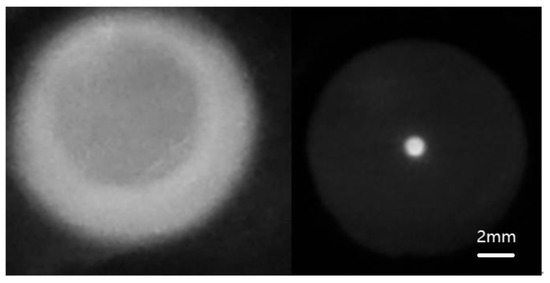 Focusing and Wavefront Splitting of an Extreme Ultraviolet Laser with a ...