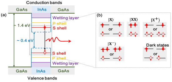 Quantum Light Source Based on Semiconductor Quantum Dots: A Review