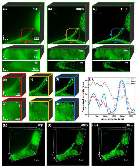 Axial Resolution Enhancement of Optical Sectioning Structured ...