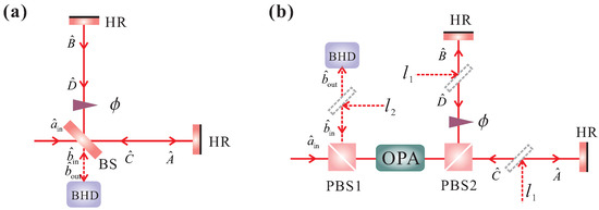 High-Sensitivity Quantum-Enhanced Interferometers