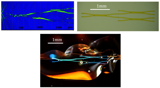 Determining Single Photon Quantum States through Robust Waveguides on Chip