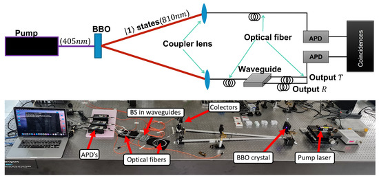 Determining Single Photon Quantum States through Robust Waveguides on Chip
