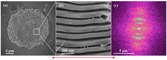 Direct Femtosecond Laser Processing for Generating High Spatial Frequency LIPSS (HSFL) on ...