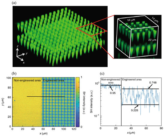 A Brief Review on Nonlinear Photonic Crystals Induced by Direct ...