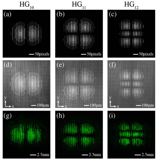 A Brief Review on Nonlinear Photonic Crystals Induced by Direct ...