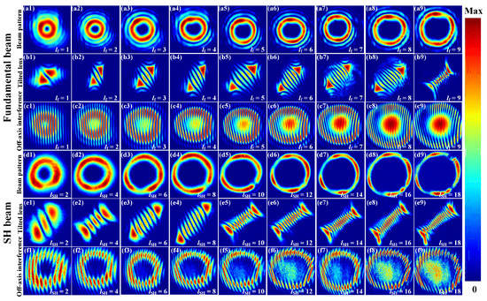 Second-Harmonic Generation of the Vortex Beams with Integer and ...