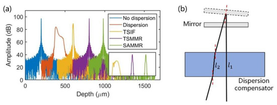 A Generic and Effective System Dispersion Compensation Method ...