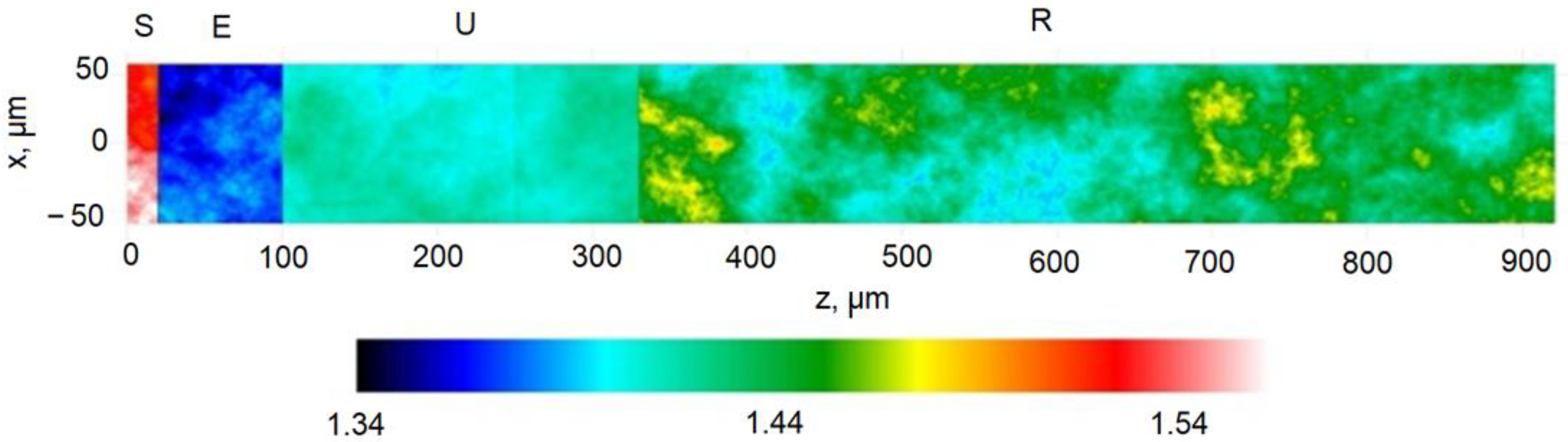 Non-Paraxial Effects in the Laser Beams Sharply Focused to Skin ...
