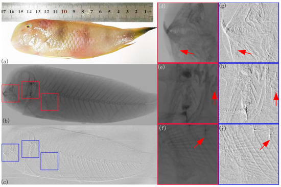 Single-Shot Phase-Contrast Imaging with a Single Grating