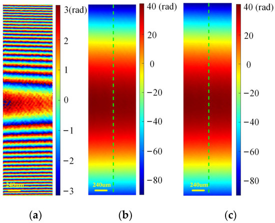 Slightly Off-Axis Digital Holography Using a Transmission Grating and ...