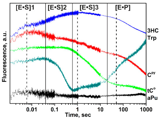 Conformational Dynamics of Biopolymers in the Course of Their ...