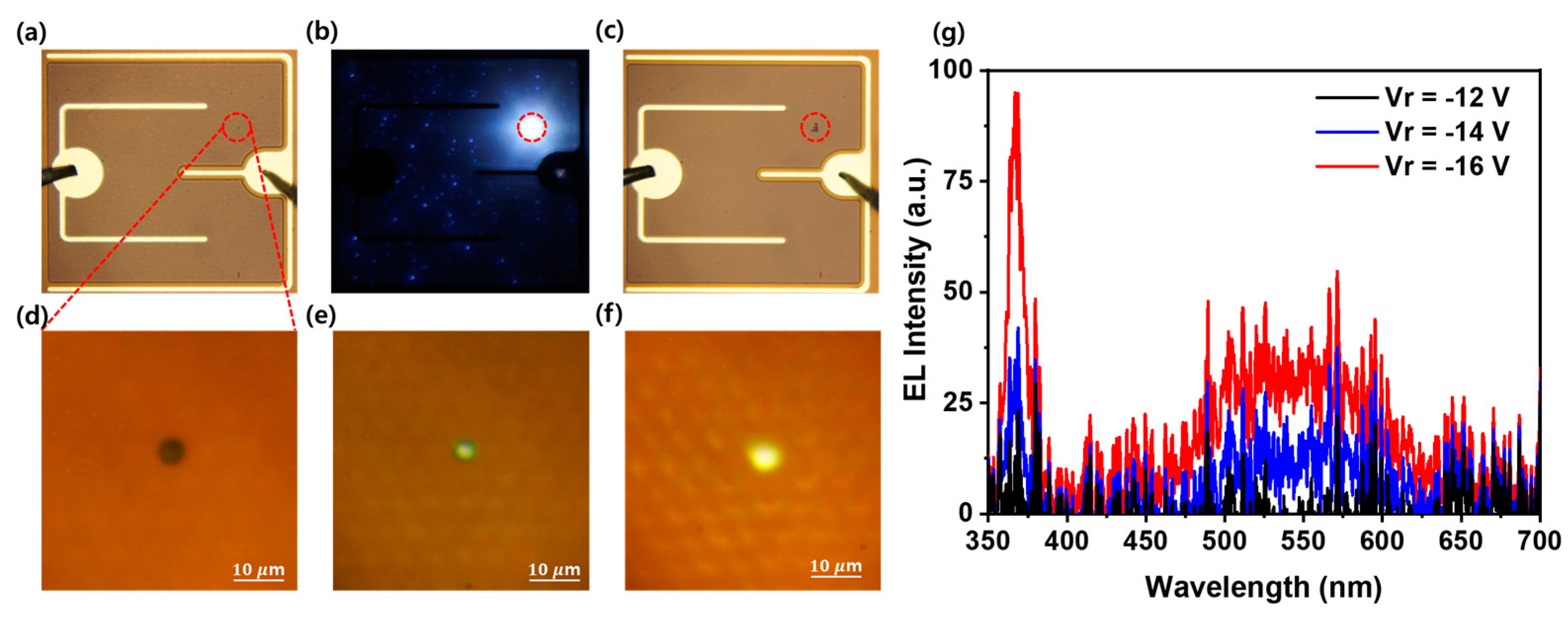 The Correlation between Surface V-Shaped Defects and Local Breakdown Phenomena in GaN-Based LEDs