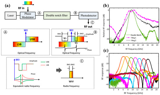 Microwave Photonic Filters and Applications