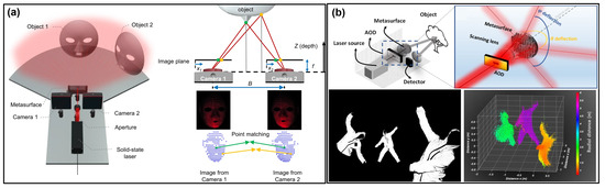 Polarization Lidar: Principles and Applications
