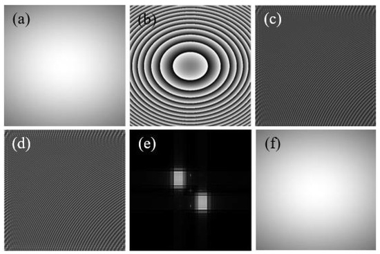Robust Holographic Reconstruction by Deep Learning with One Frame