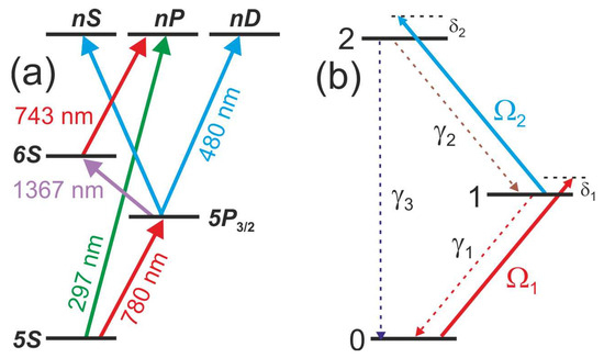 Two-Photon Laser Excitation of Rb Rydberg Atoms in the Magneto-Optical ...