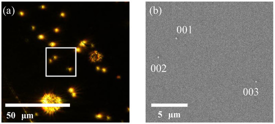 Determining the Optical Geometry of a Gold Semi-Shell under the ...