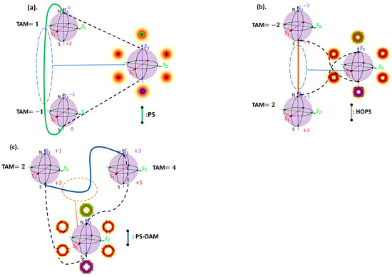 Geometric Representation of Vector Vortex Beams: The Total Angular ...