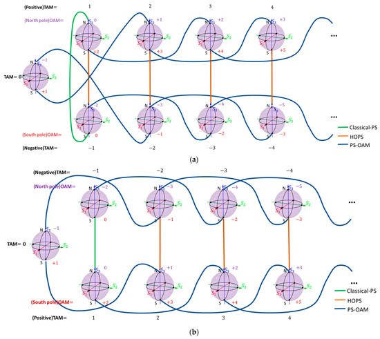 Geometric Representation of Vector Vortex Beams: The Total Angular ...