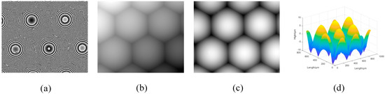 Parallel Phase-Shifting Digital Holographic Phase Imaging of Micro ...