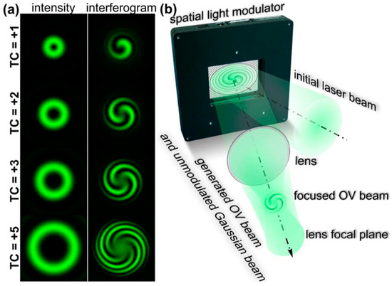 Generation of Orbital Angular Momentum Light by Patterning Azopolymer ...