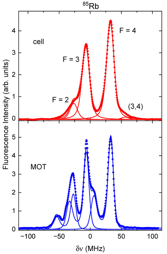 The 5P3/2→6PJ(J=1/2,3/2) Electric Dipole Forbidden Transitions in Rubidium