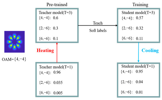 Deep Mutual Learning-Based Mode Recognition of Orbital Angular Momentum