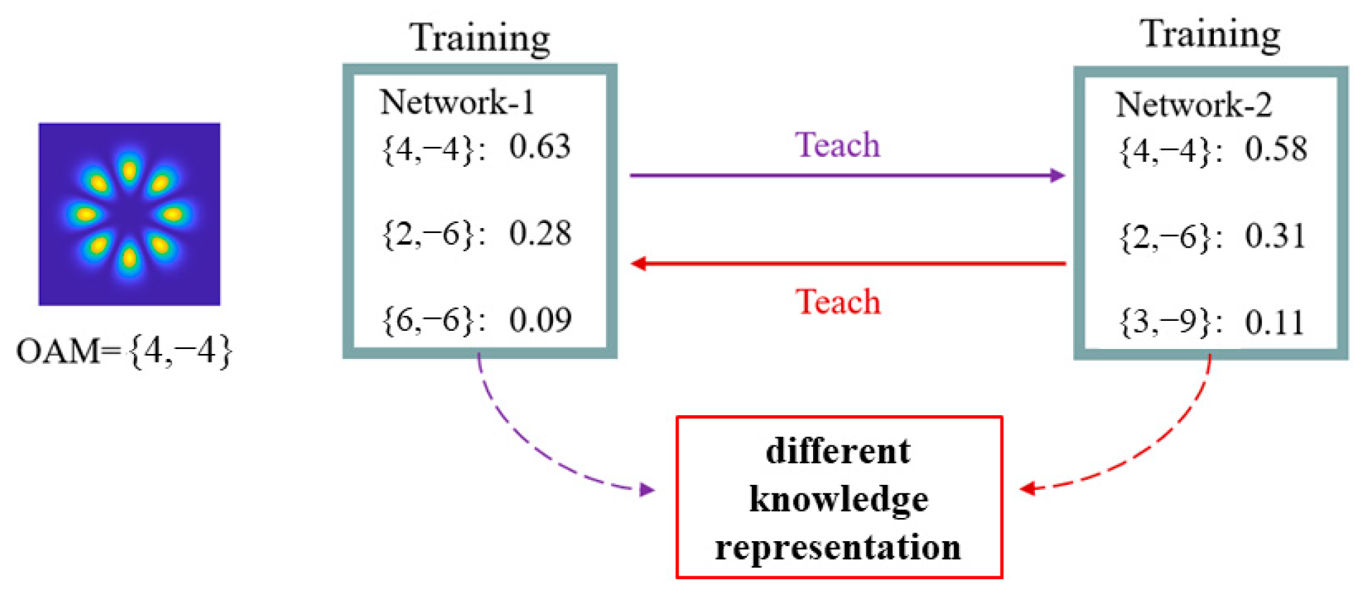 Deep Mutual Learning Based Mode Recognition Of Orbital Angular Momentum