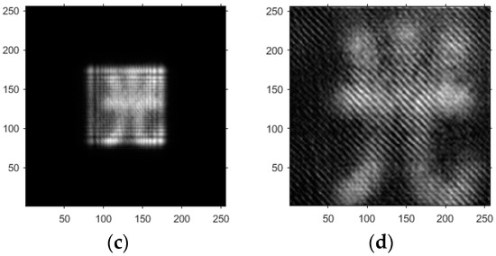 Investigation of an Improved Angular Spectrum Method Based on Holography
