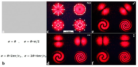 Multi-Mode Vector Light Field Generation Using Modified Off-Axis ...