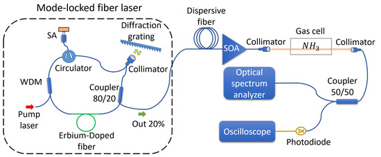 Dispersive Fourier Transform Spectrometer Based on Mode-Locked Er-Doped ...