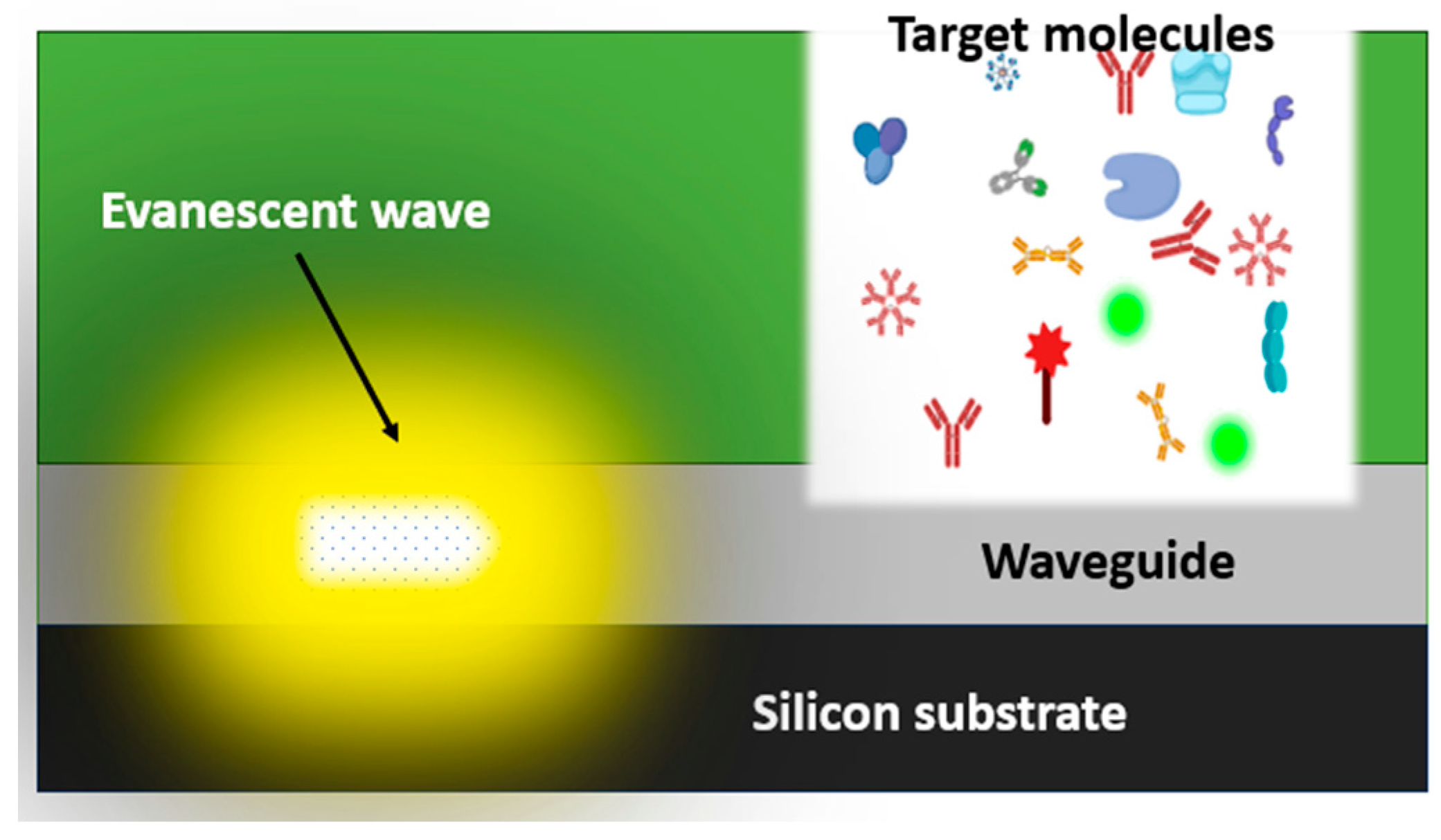 Futuristic Silicon Photonic Biosensor with Nanomaterial Enhancement for ...