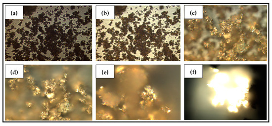 Futuristic Silicon Photonic Biosensor with Nanomaterial Enhancement for ...