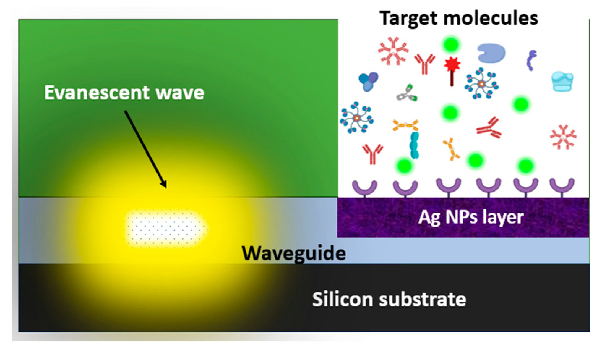 Futuristic Silicon Photonic Biosensor with Nanomaterial Enhancement for ...